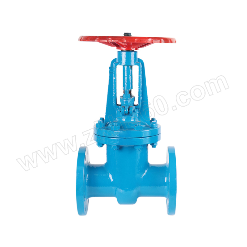 BP/百普阀门 衬氟闸阀 Z41F46-16C DN50 法兰连接接口 WCB碳钢阀体 公称压力16bar 1台【多少钱 规格参数 图片 采购】-震坤行